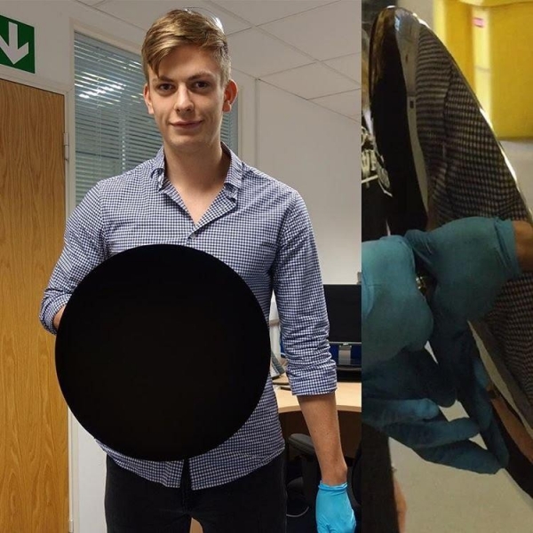 병신년 베스트 10 추렸어요