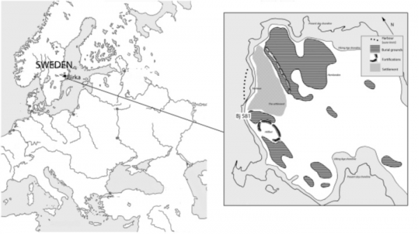 고위급 10c 바이킹 여전사 '확인'