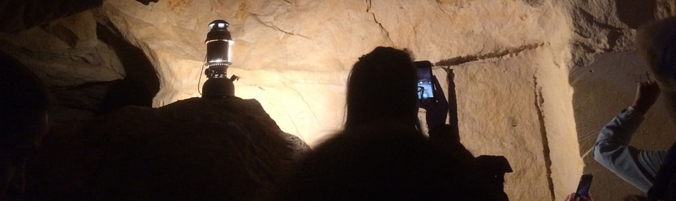 소행성 충돌, 육지·해양 생물 모두 초토화