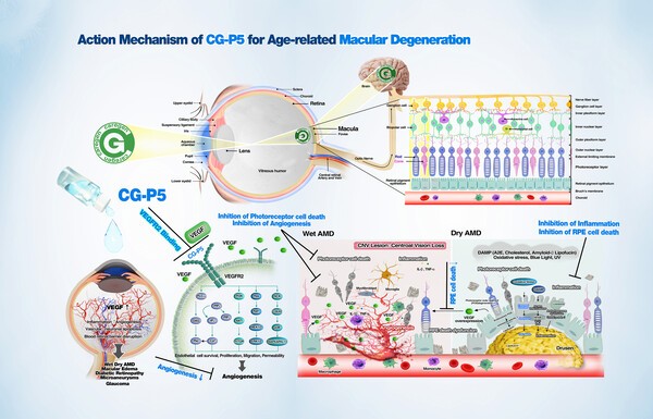 케어젠, APAO2025서 황반변성 치료제 ‘CG-P5’ 공개