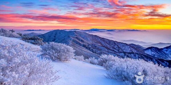 단양 가볼 만한 곳, 소백산 자락 구인사에서 만나는 고요한 사색